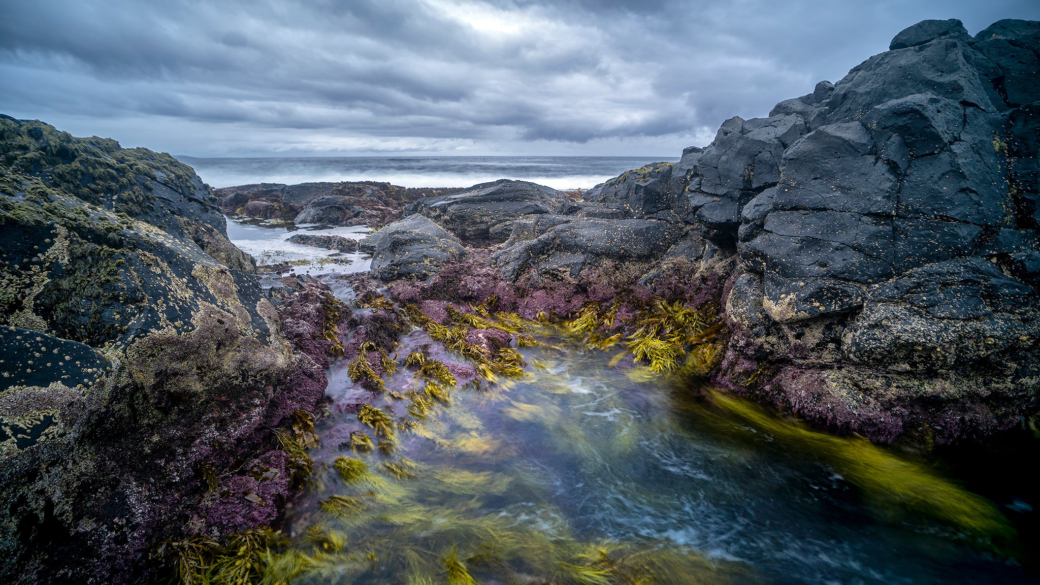 Green Island Rockpool Action - Fine art print by Peter Izzard Fine Art ...